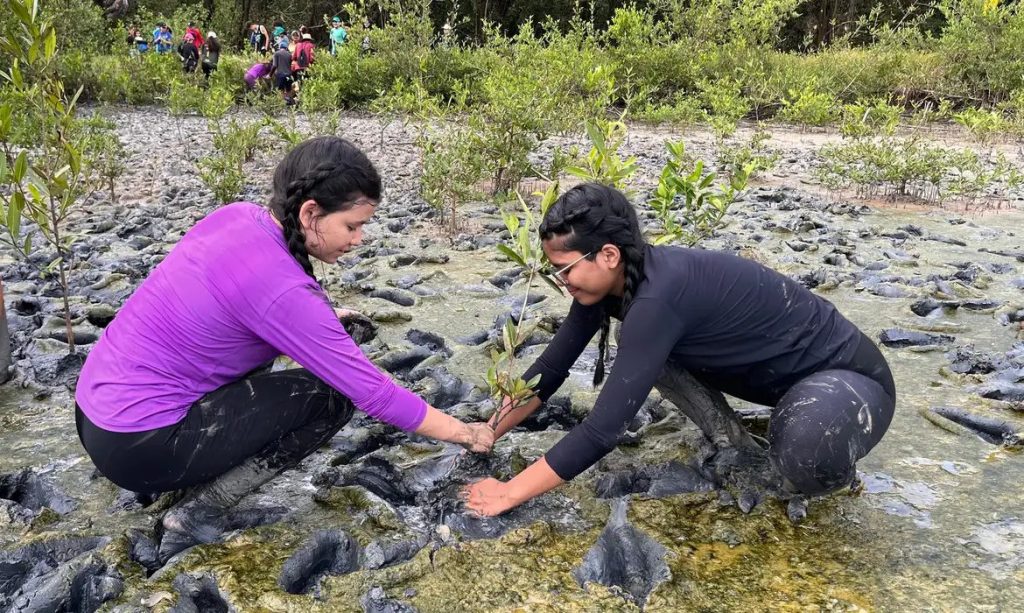 Inscrição De Trabalhos No Fórum De Educação Ambiental Termina Dia 30